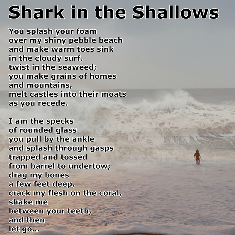 sharkshallows – Scorched Feathers