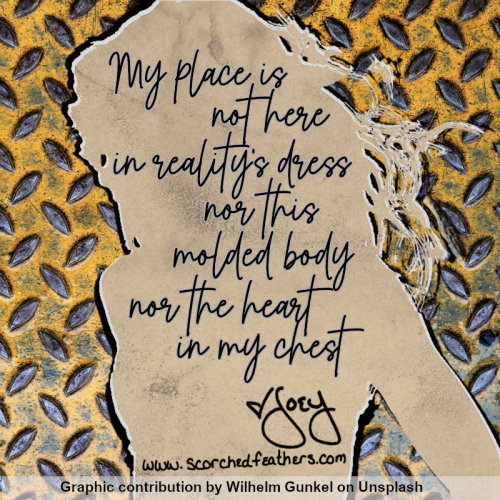 Graphic Gallery – Scorched Feathers