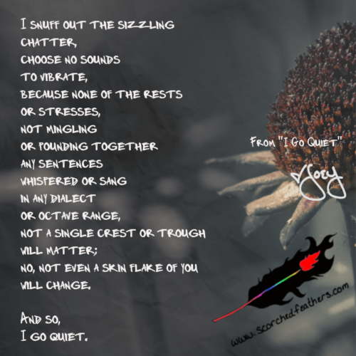 Video Gallery – Scorched Feathers